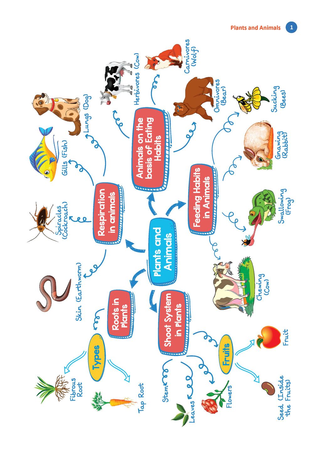 One For All Olympiads Workbook Class 3 Science | Questions for SOF NSO ...